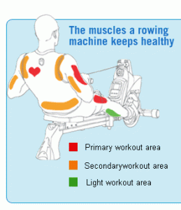 Selecting and Using a Rowing Machine - Fencing.Net